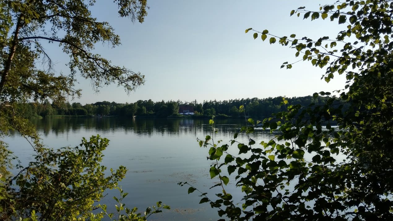 Greven in het Münsterland: veelzijdige stad aan de Ems