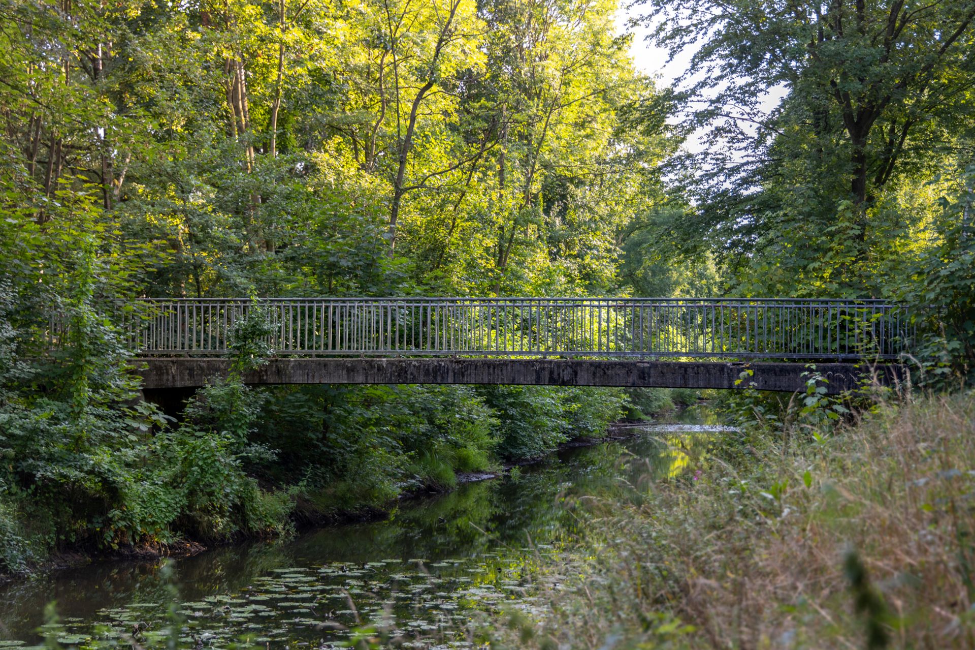 Combineer natuur en cultuur in Ladbergen