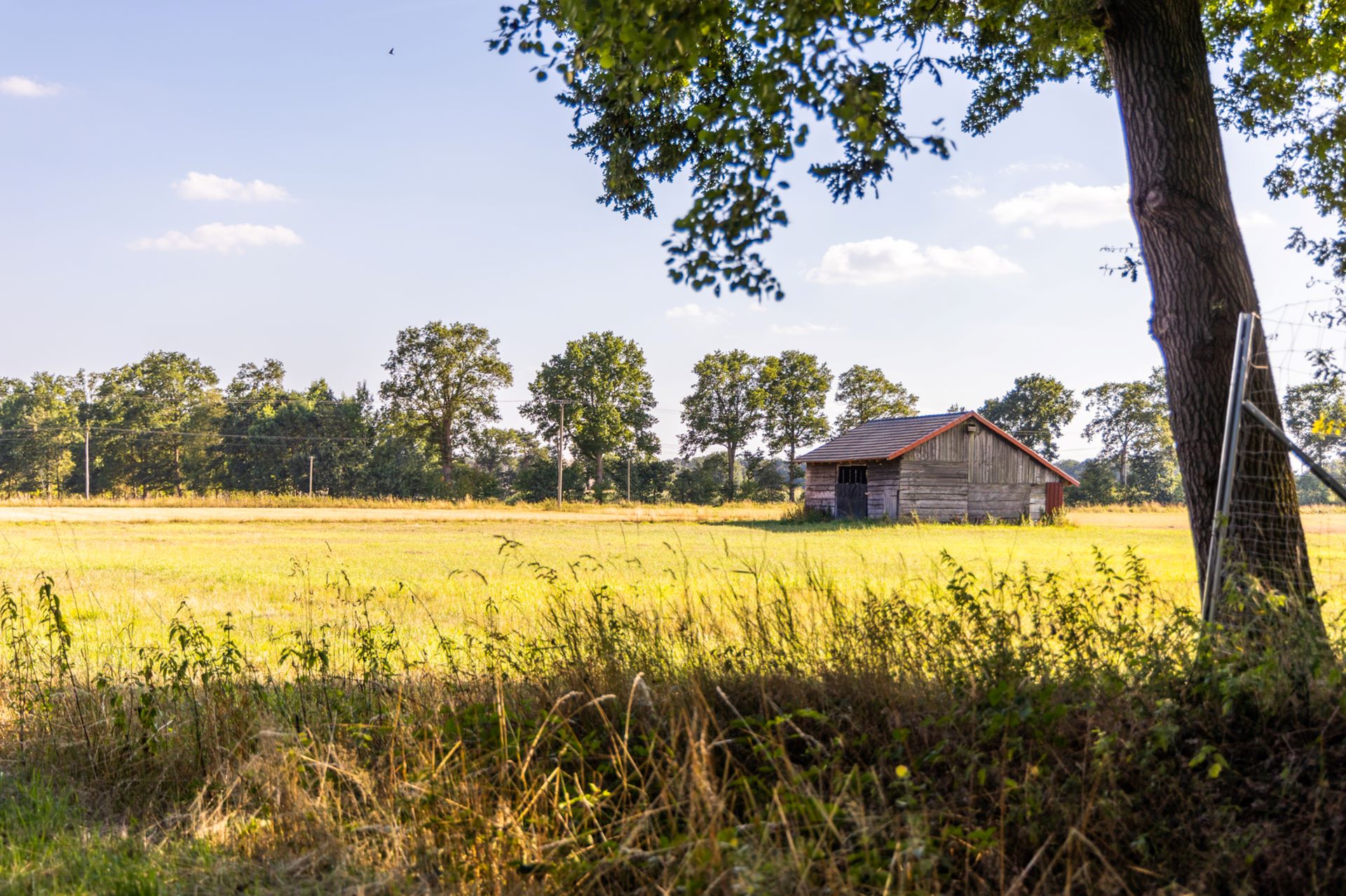 Combineer natuur en cultuur in Ladbergen